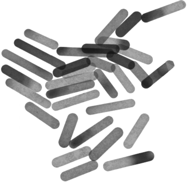 Technology Overview - Sona Nanotech
