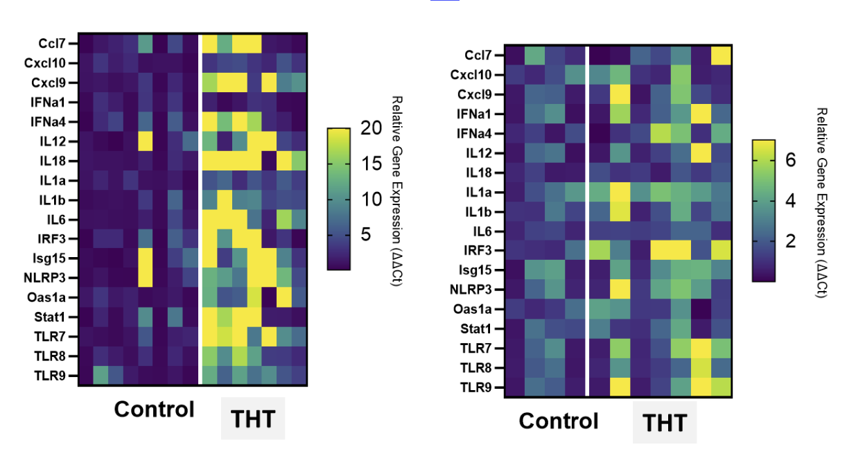 Sona’s Cancer Therapy Triggers Abscopal Effect, Eliminating Distant ...